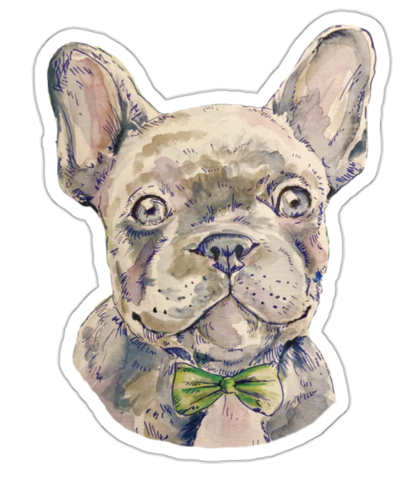 Sharkyshar – Art By Charlotte